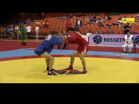 Teymur Allahverdiyev AZE - Georgies Georgi MDA/World Sambo Championship 2017