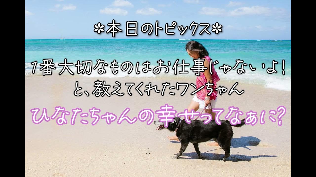 Clubhouse 1番大切なのはお仕事じゃないよ!と教えてくれたワンちゃん「ひなたちゃんの幸せってなぁに?」 Youtube