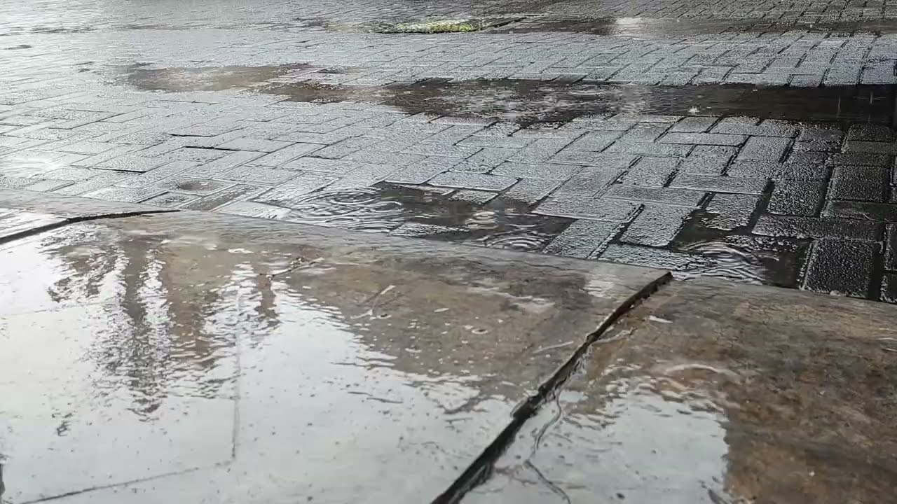 Enjoying the Rain all Day | Rain sounds are best for Insomnia, Studying ...