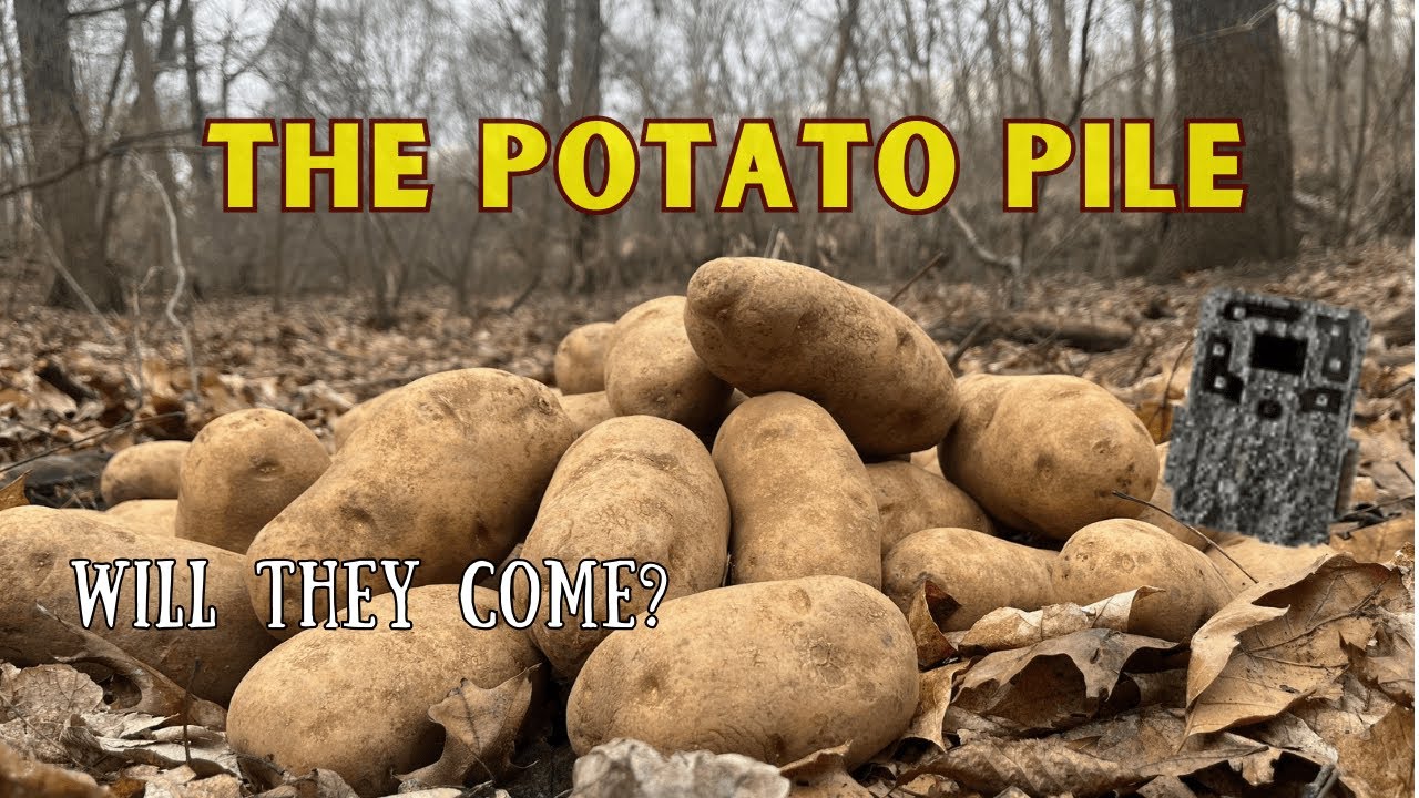 The Incredible Potato Pile Experiment: What Did the Trail Cam Capture ...
