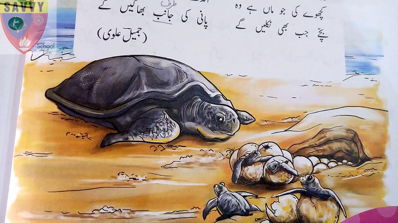 Urdu grade 3 lesson 4 - YouTube