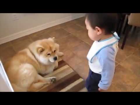 Modelos innatistas y asocianistas de la mente