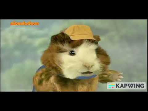 Wonder Pets Linny, Tuck, and Ming Ming Too! (Greek) - YouTube