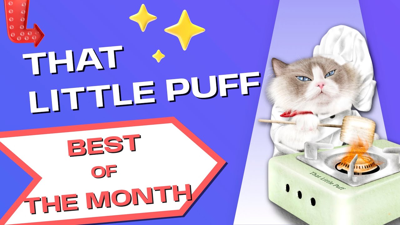 That Little Puff | Best Of The Month! | November 2022 - YouTube