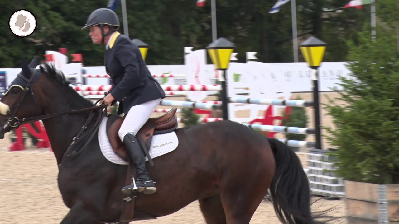 CLASS 15 - FLO - LESLIE HOWARD - YouTube