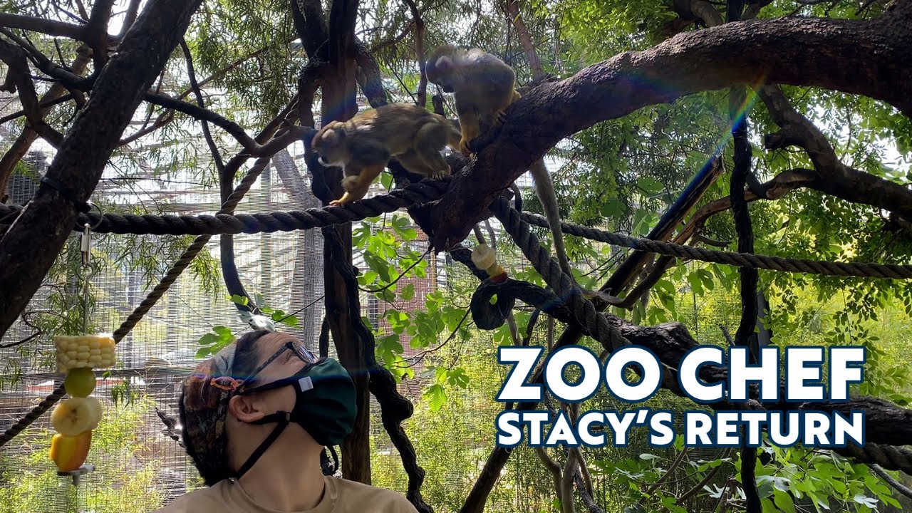 The Return of "Zoo Chef" Stacy! - YouTube