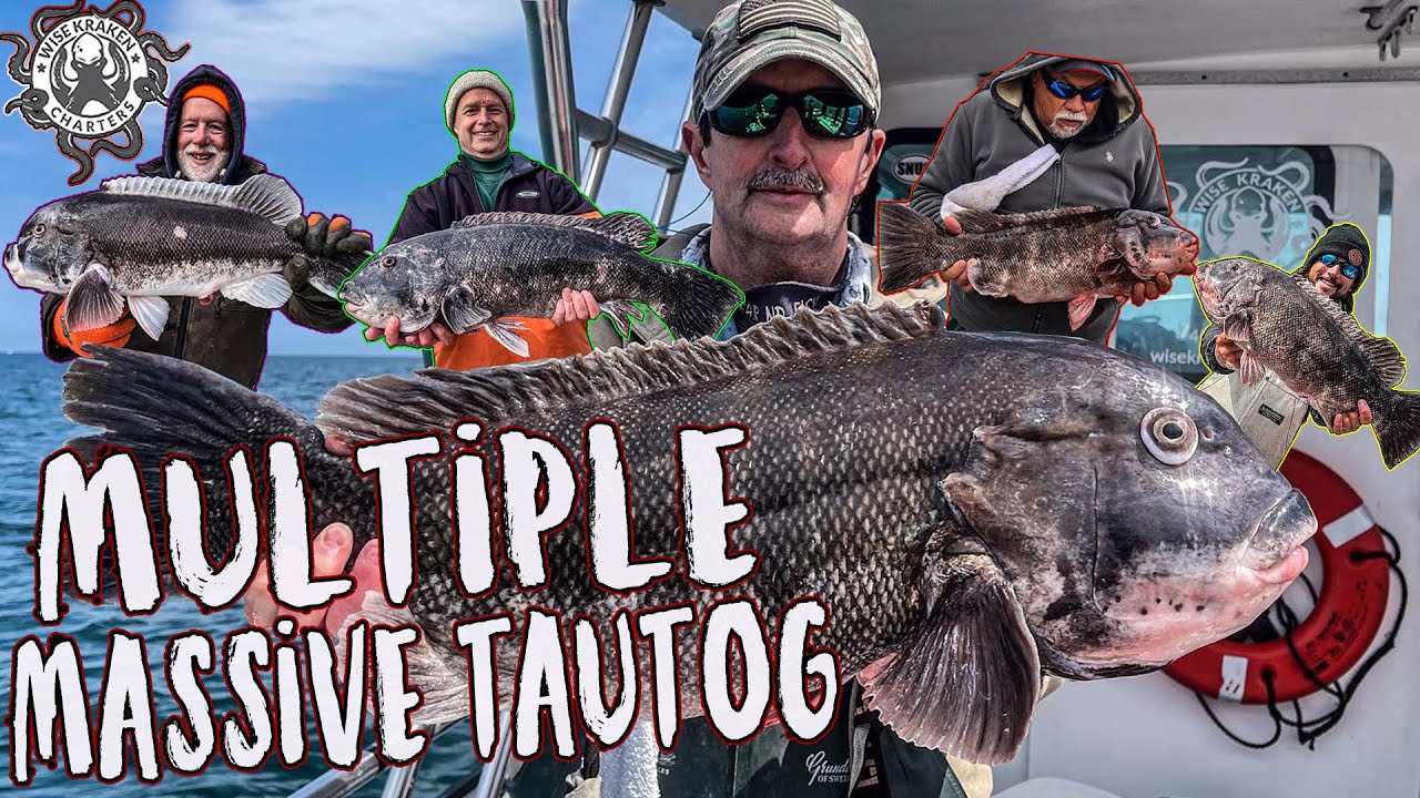 3 Double Digit Tautog in ONE DAY! Charter Boat Fishing - YouTube