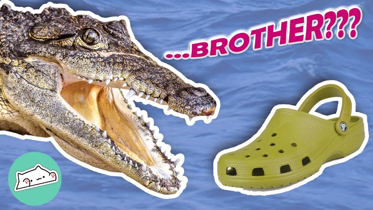 How Crocodiles Differ From Crocs? AI Take on Wildlife | Funky Buddies ...