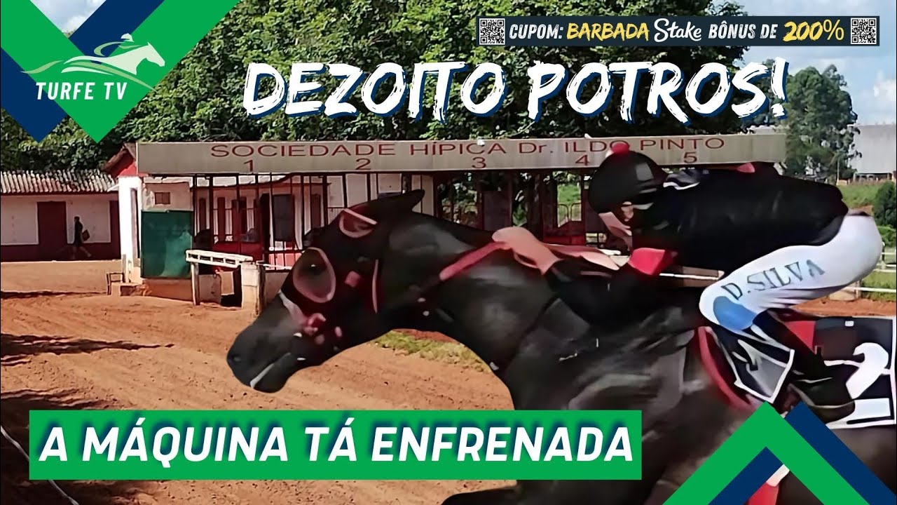 MAIOR DO ANO! DEZOITO POTROS ENFRENADOS EM PALMEIRA (INCLUSIVE A CRAQUE!) - YouTube