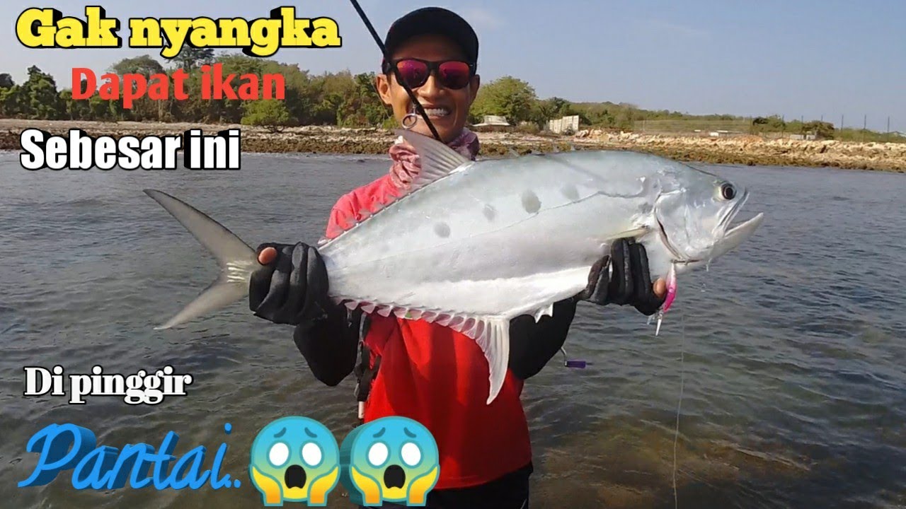 Big Queenfish on ultralight casting_#10 - YouTube