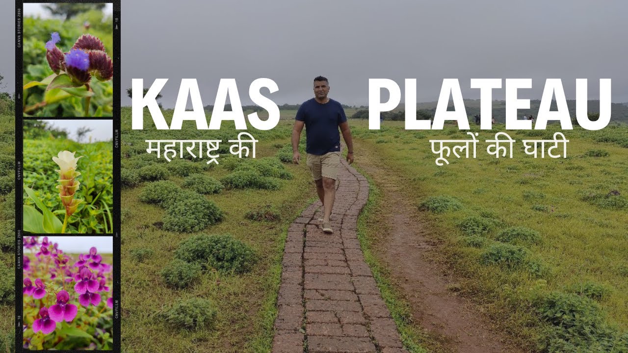 Journey to Kaas Plateau | The Ultimate Nature Lover's Guide! - YouTube