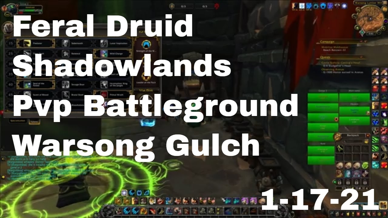 World of Warcraft Shadowlands Feral Druid Pvp Battleground, Warsong ...