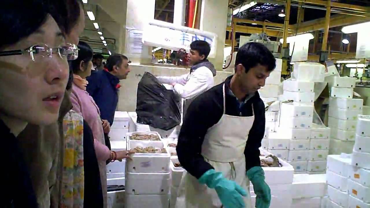 Billings Gate Fish Market - YouTube