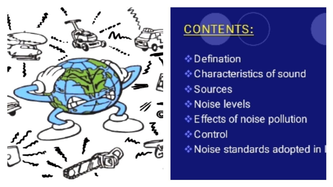 class 12 Biology investigatory project on Noise pollution | Become ...