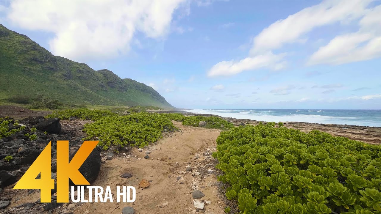 4K Virtual Walk with Ocean Views & Nature Sounds | Kaena Point Trail ...