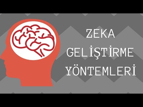 Zeka Geliştirme Yöntemleri