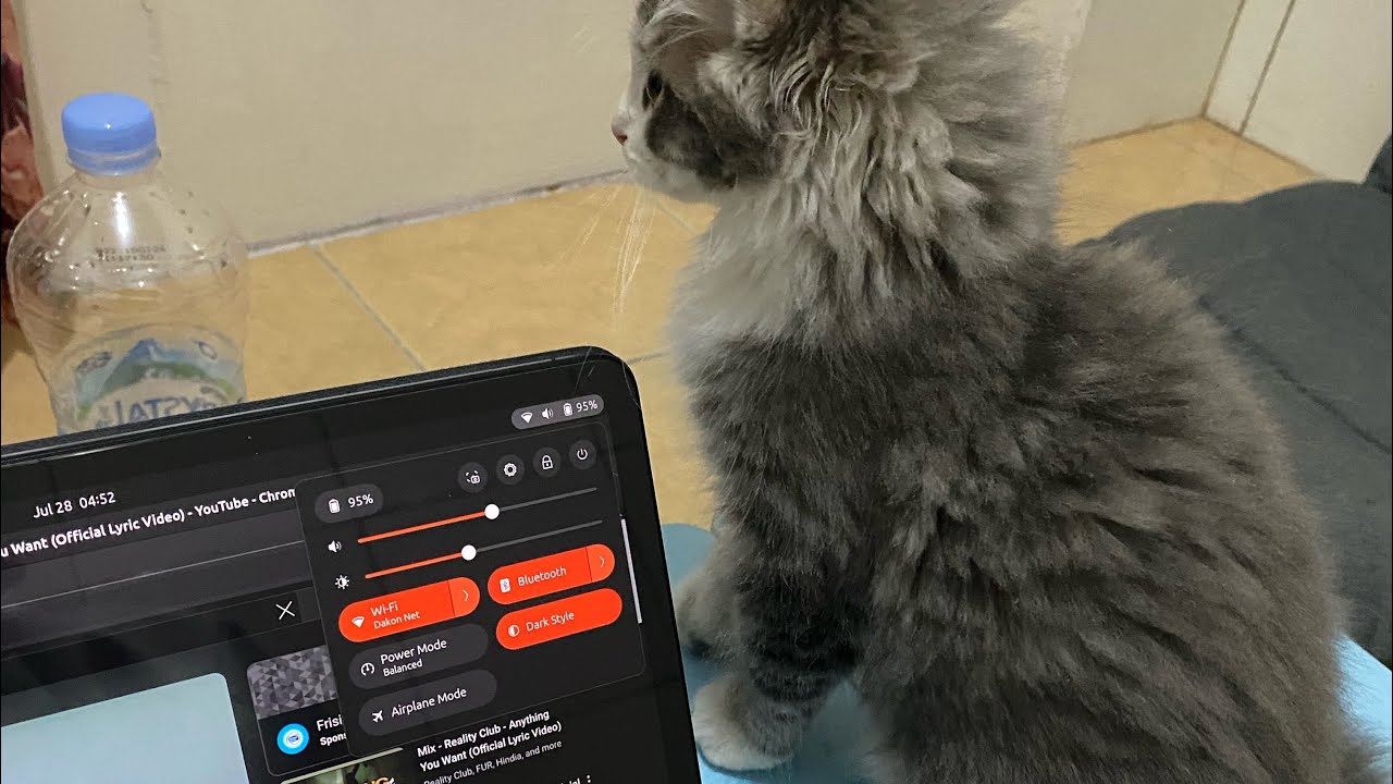 XIAOMI PAD 5 (NABU) TRIPLE BOOT - Android, Windows and Linux. - YouTube