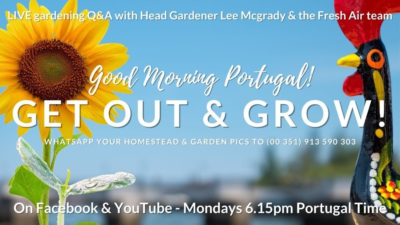 The Get Out & Grow! Show - LIVE Gardening Q&A - 26-09-22 - YouTube