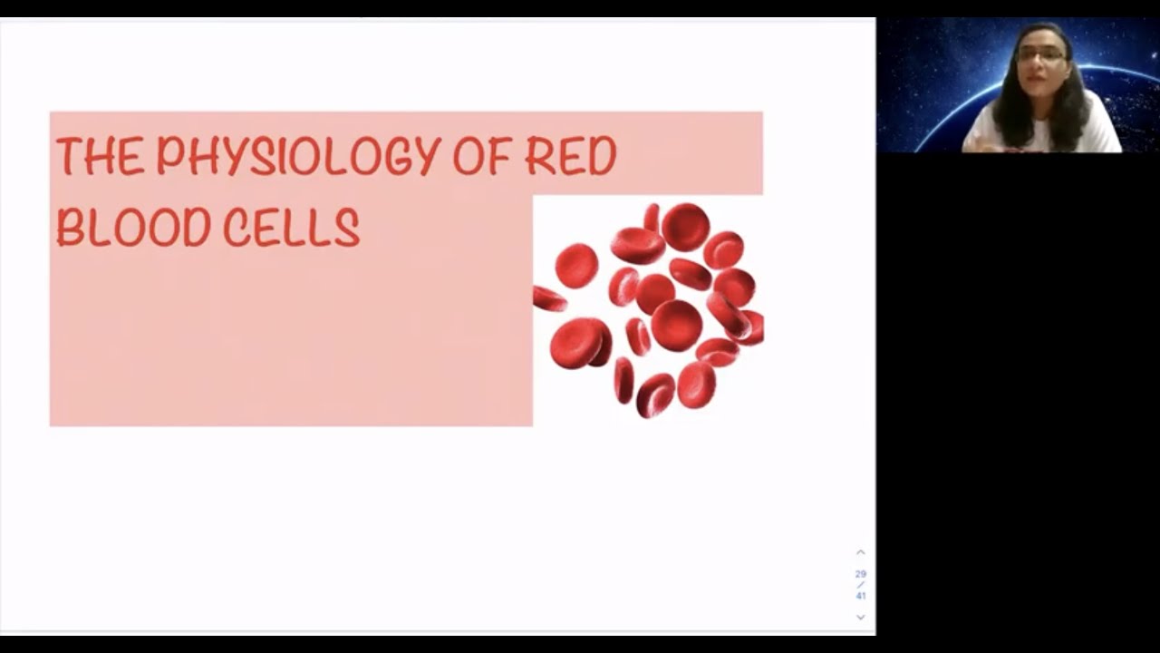 PHYSIOLOGY OF RED BLOOD CELLS - YouTube