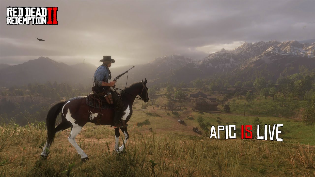 RDR 2 Continue...... | Face cam on 10 likes | APic Gaming Live | DAY 3 ...