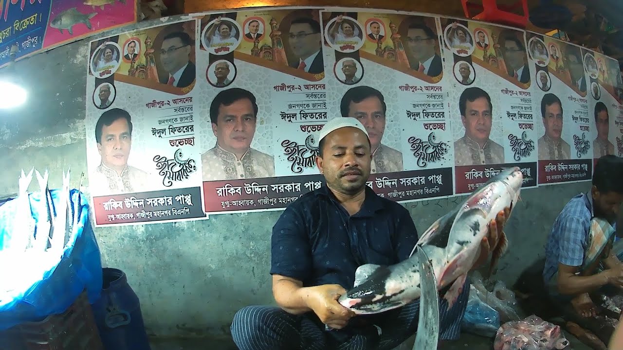 Never Seen! 4500 TK Baghair Fish Cutting In Fish Market- Baghair Fish ...