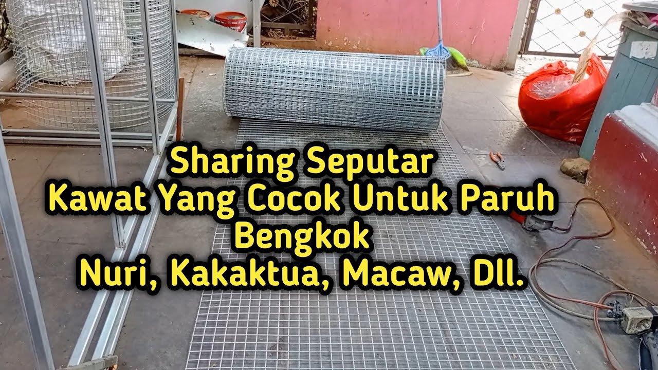 Kawat tebal untuk aviary yang cocok untuk burung paruh bengkok - YouTube