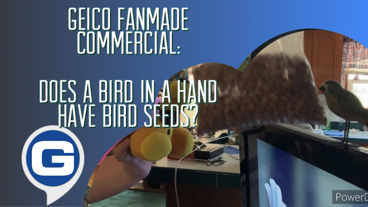 GEICO FanMade Commercial #5 - Does A Bird In A Hand Have Bird Seeds? 🦜🫘 ...