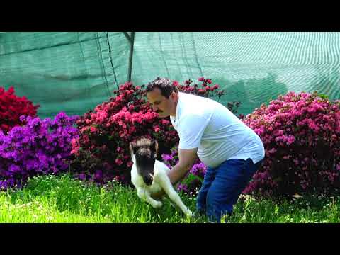 TUNCER ÇİFTÇİ ve CANLILARA OLAN SEVGİSİ