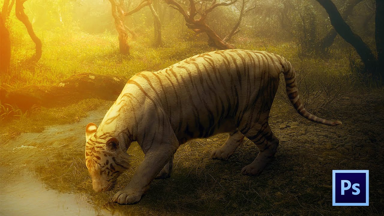 Photo Manipulation Tiger at River Dreamy Dramatic Effect - Photoshop ...