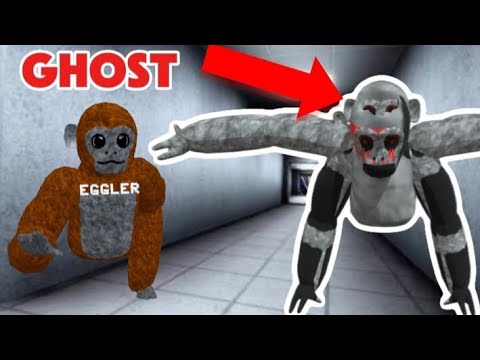 THIS GHOST HAUNTS SCARY BABOON AT 3 AM!! - YouTube