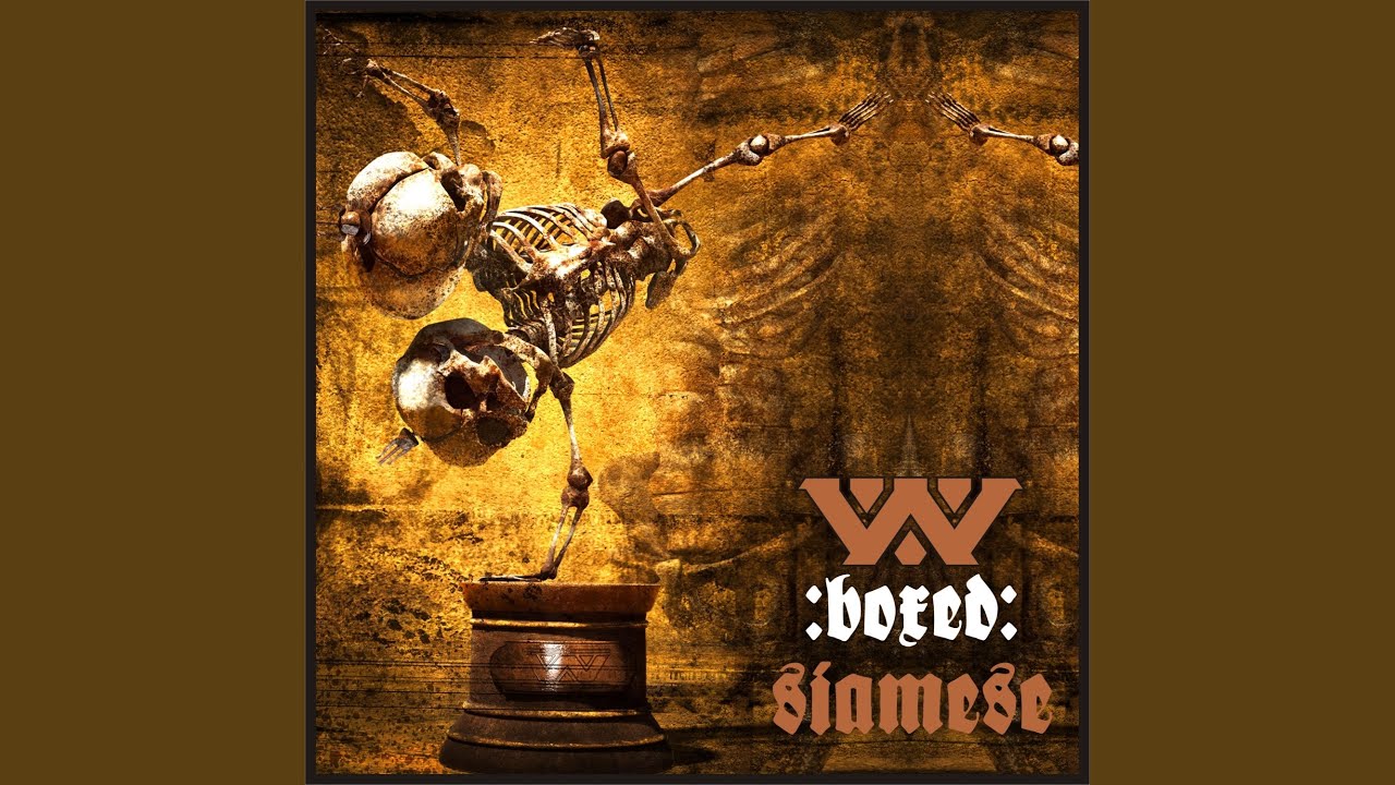 Boneshaker Baybee (XSRY Remix) - YouTube