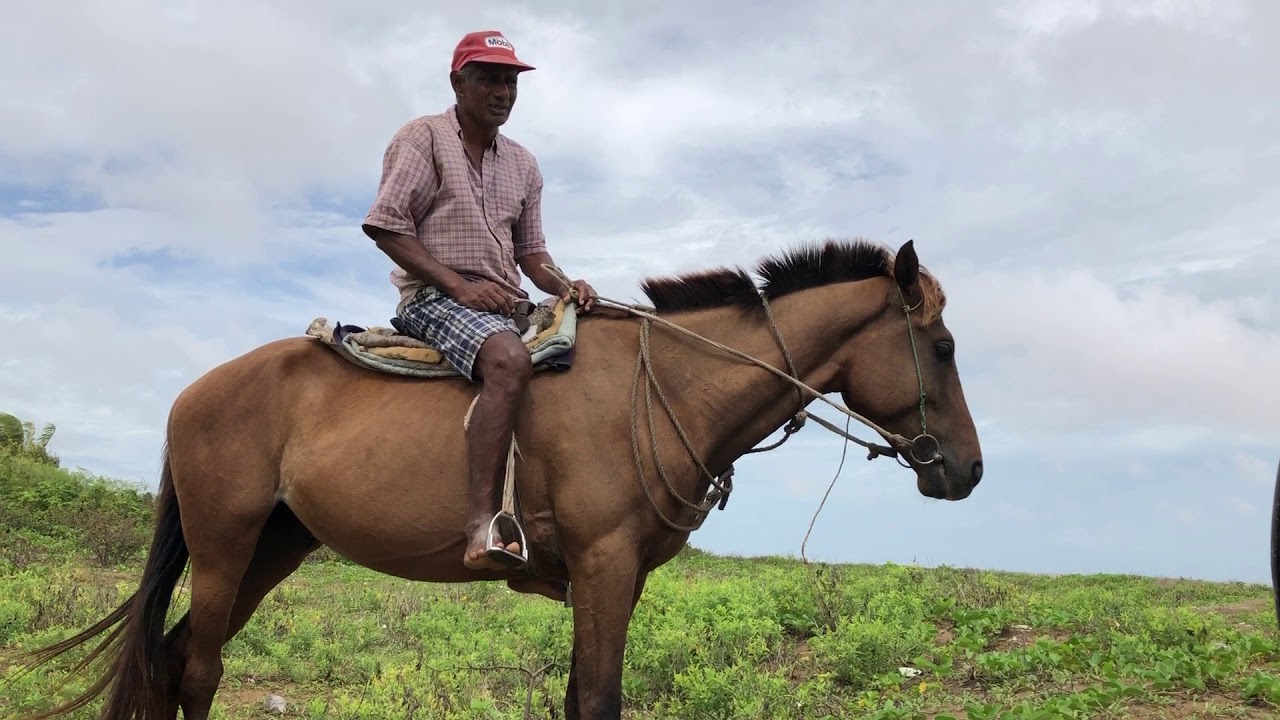 Listening to a man in Guyana. - YouTube
