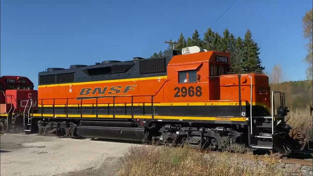 CN L568 - GTW 5824 West near Petersburg (November 07 2024) - YouTube