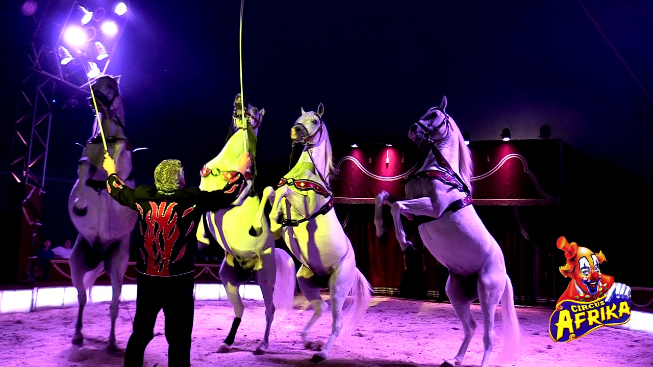 CIRCUS AFRIKA 2017 - YouTube