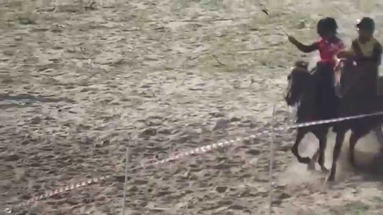 Akhir Kuda PADI B - 19 Sept 2014 @ Pantai Geting, Tumpat, Kelantan ...