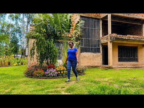 Quiet day on our farm building our forever home | Garden arch | Cooking | preparing for the rains 