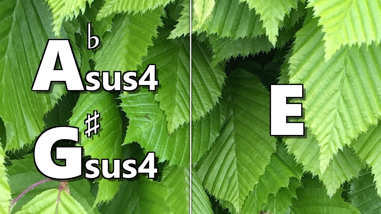 Absus4 (G#sus4) to E Backing Track - YouTube