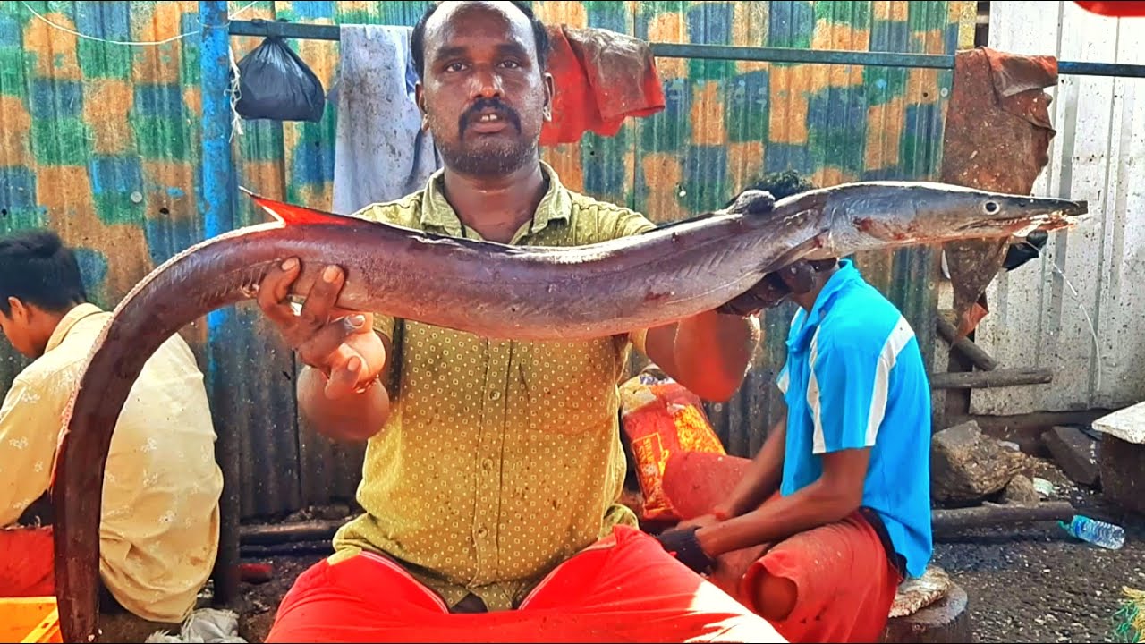 BIGGEST # EEL FISH # PAAMBU MEEN # CUTTING SKILLS # KASIMEDU #SUMMER ...