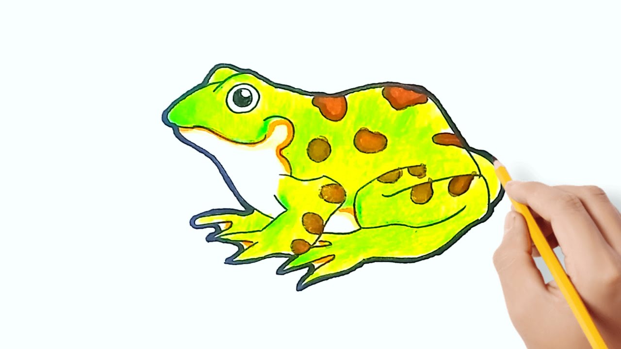 HOW TO DRAW FROG EASY STEP BY STEP - YouTube