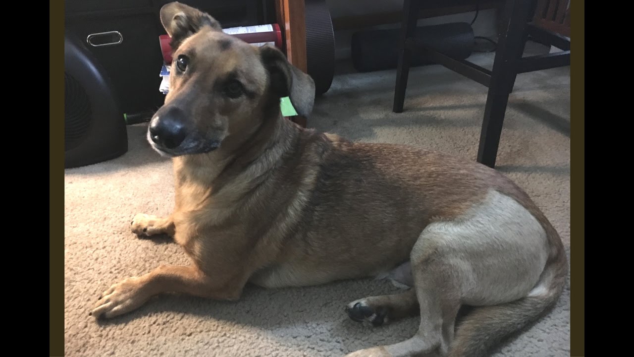 Lateral Suture Recovery Pt.2 - YouTube