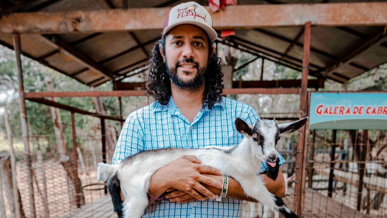 Descubre el fascinante mundo Caprino en la Finca el Espinal 🐐🌿 en ...