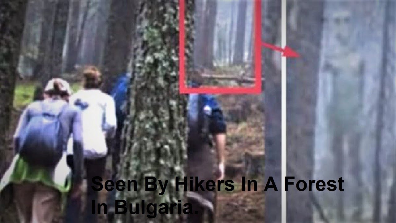 A Giant Grey Alien Was Seen By Hikers In A Forest In Bulgaria. - YouTube