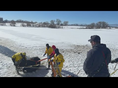 Cow rescued after falling through ice - YouTube