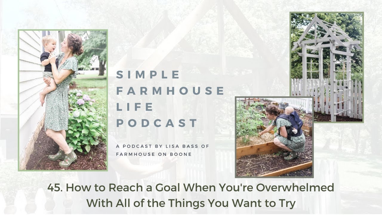 45. How to reach a goal when you're OVERWHELMED with all of the things ...