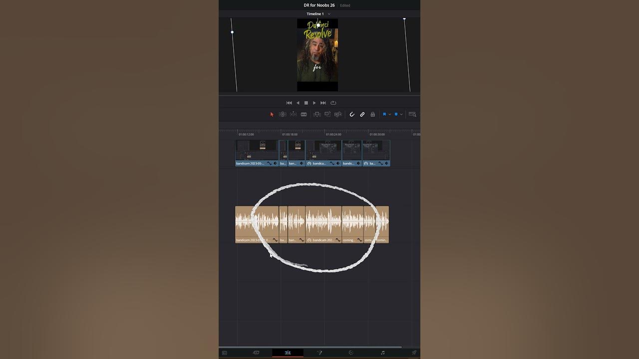 Control Multiple Audio Clips at Once - DaVinci Resolve for NOOBS! - Tip #26 - YouTube