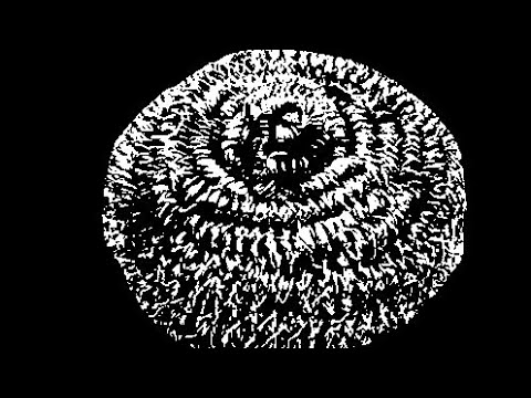 Monyet Digantung | Jembut Robot (Official Video) - YouTube