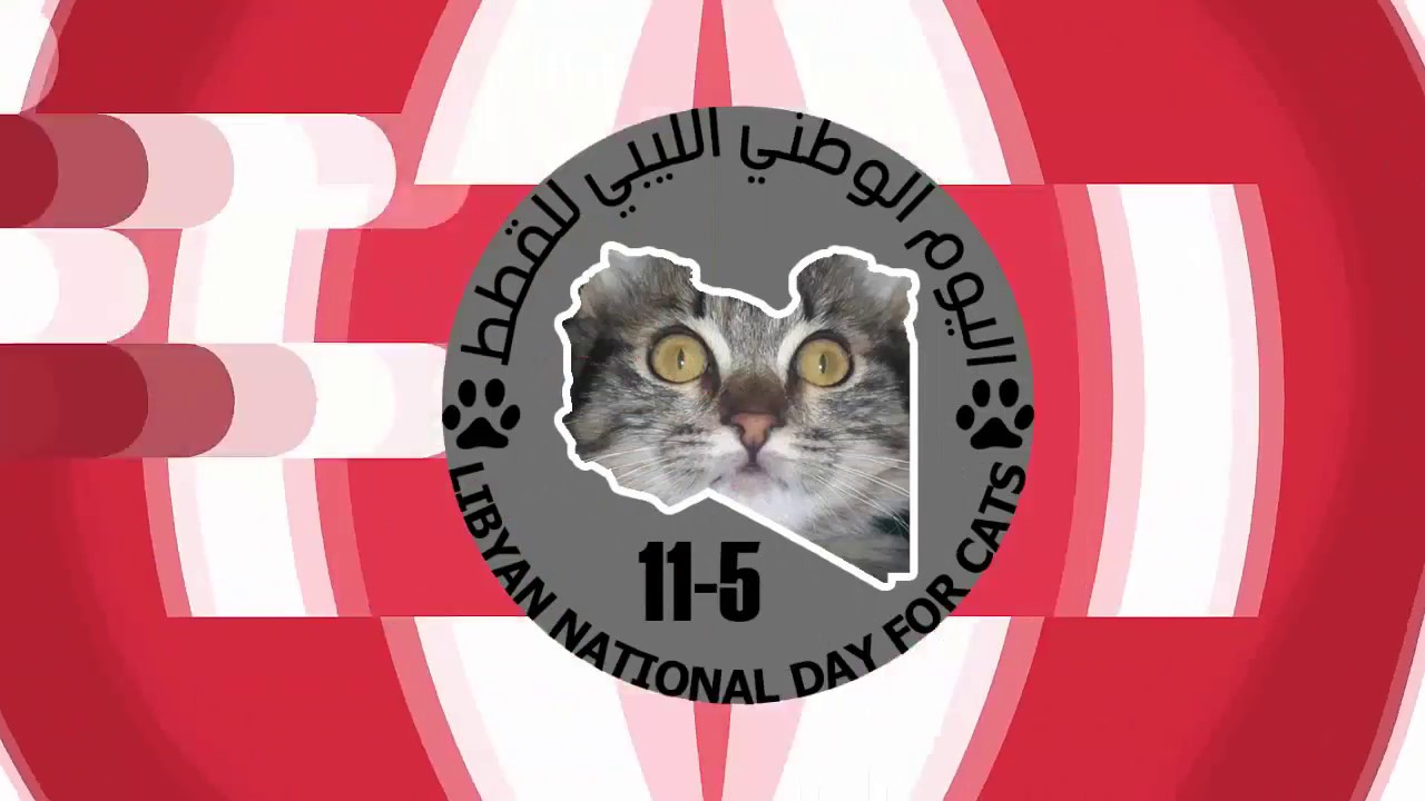 Libyan National Day for Cats اليوم الوطني الليبي للقطط - YouTube