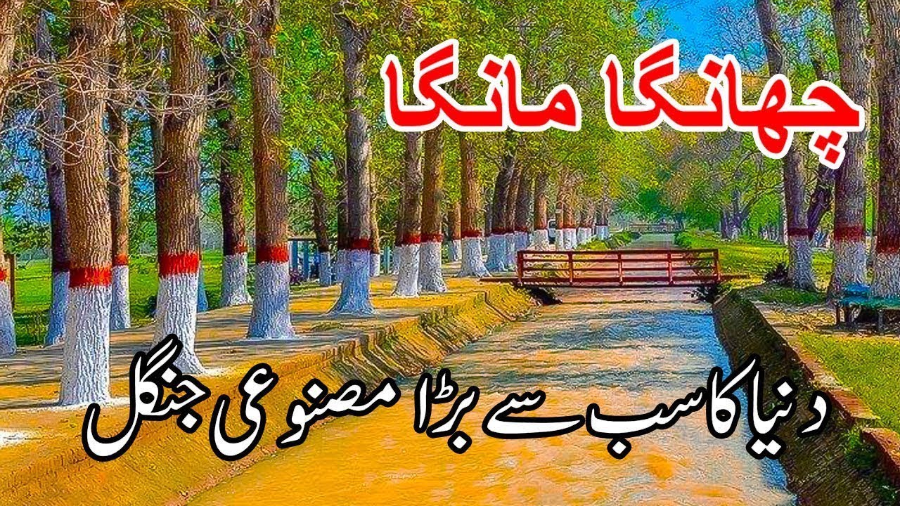Changa Manga Jungle | Amazing Facts | Lahore | Mera Pakistan - YouTube