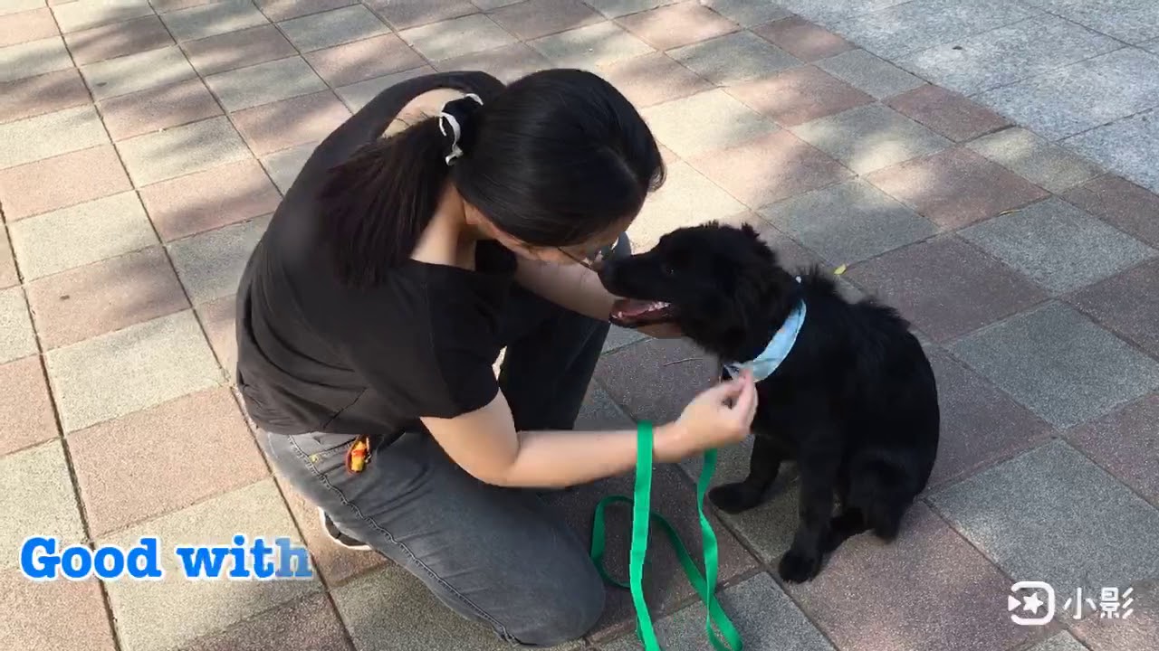 Kola profile - YouTube