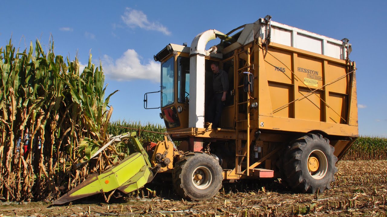 Hesston 7655 Field Queen - werktuigendagen Oudenaarde - YouTube